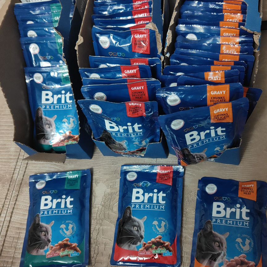 Влажный корм для кошеk brit