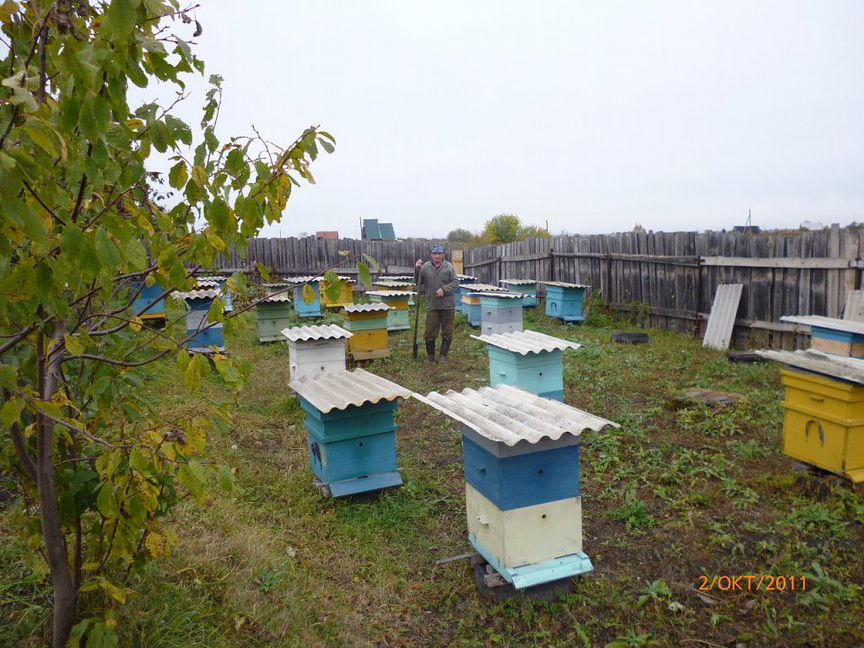 Продам улья 12 рамочные и 10 рамочные