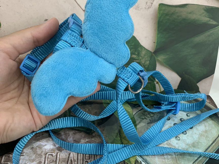 Шлейка для котенка