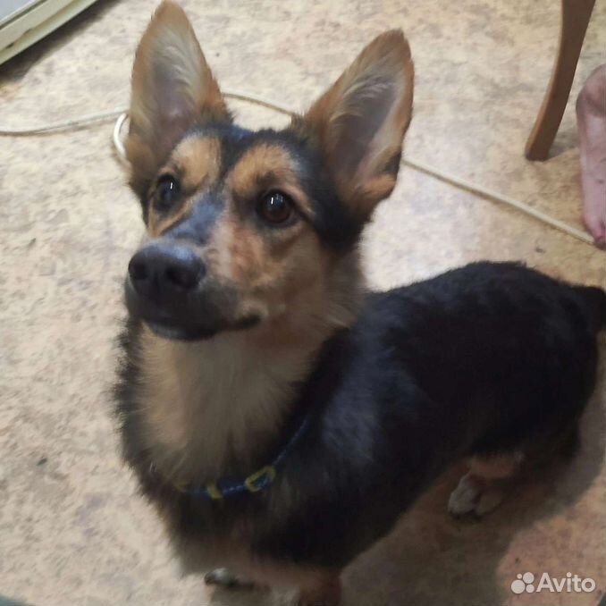 Кнопка ищет семью