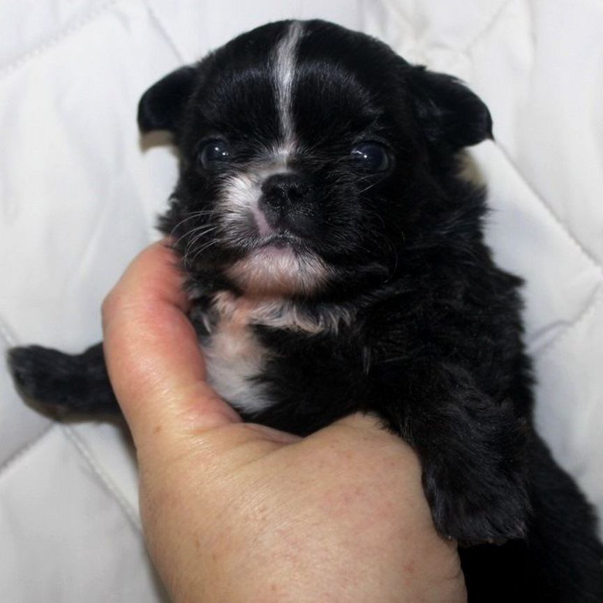 Кукольный мальчик Джейк