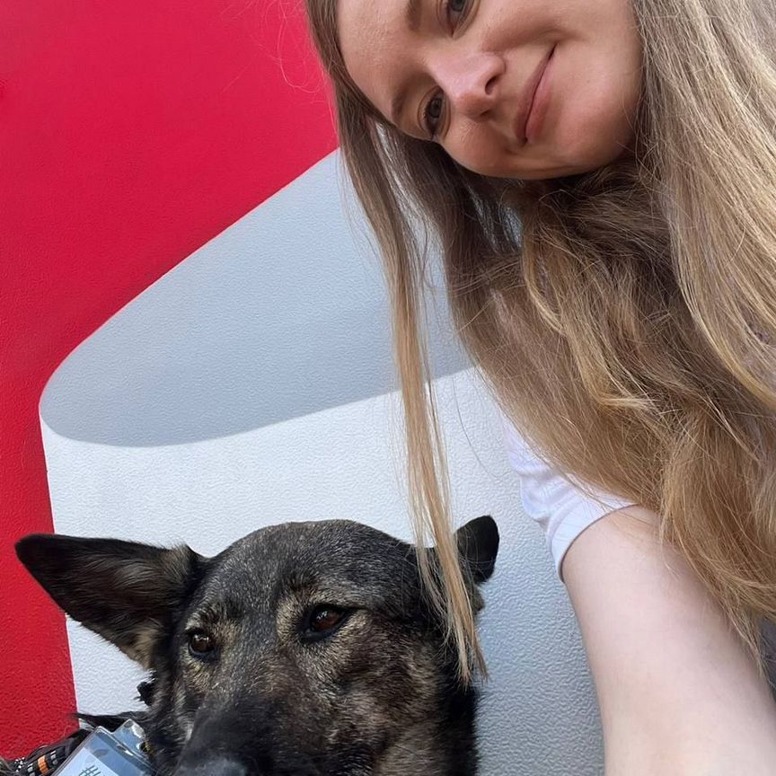 Гренка ищет дом