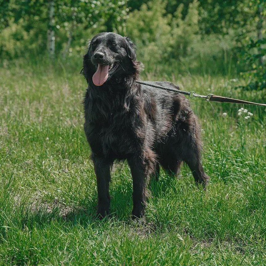 Наоми хочет домой