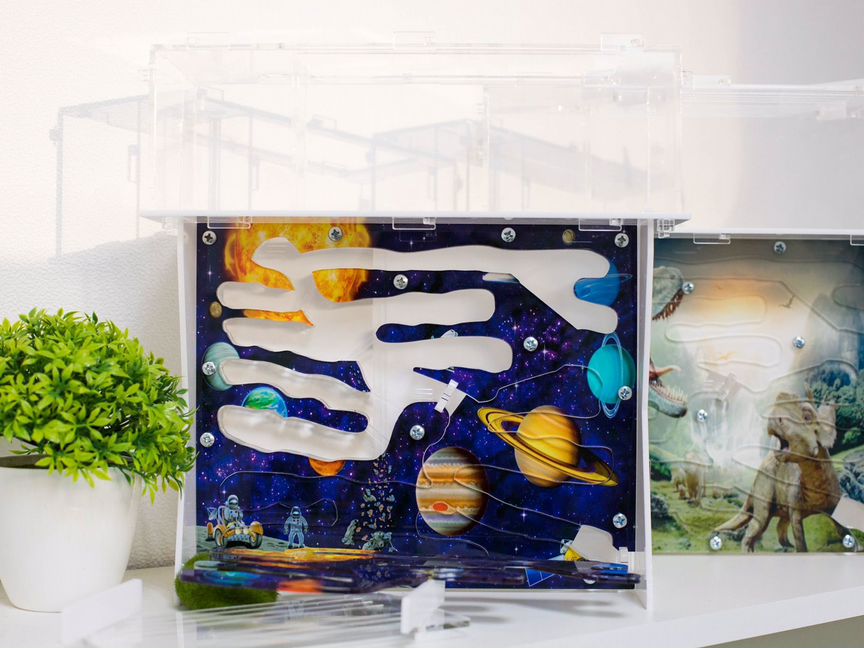 Шоурум муравьиных ферм на Алтайской