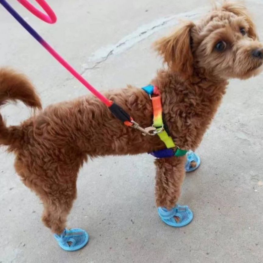 Обувь для собак маленьких пород новая