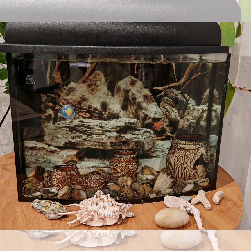 Аквариум 25 литров