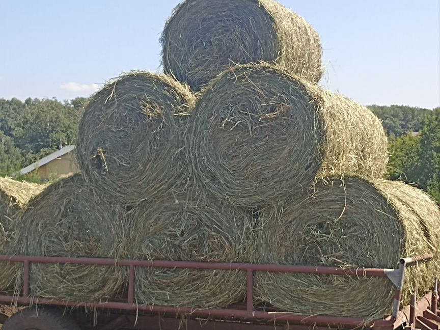 Сено