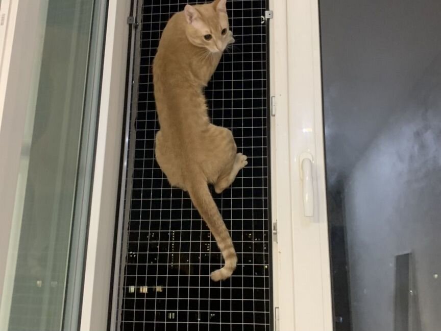 Сетка металлическая антикот