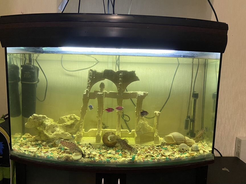 Аквариум