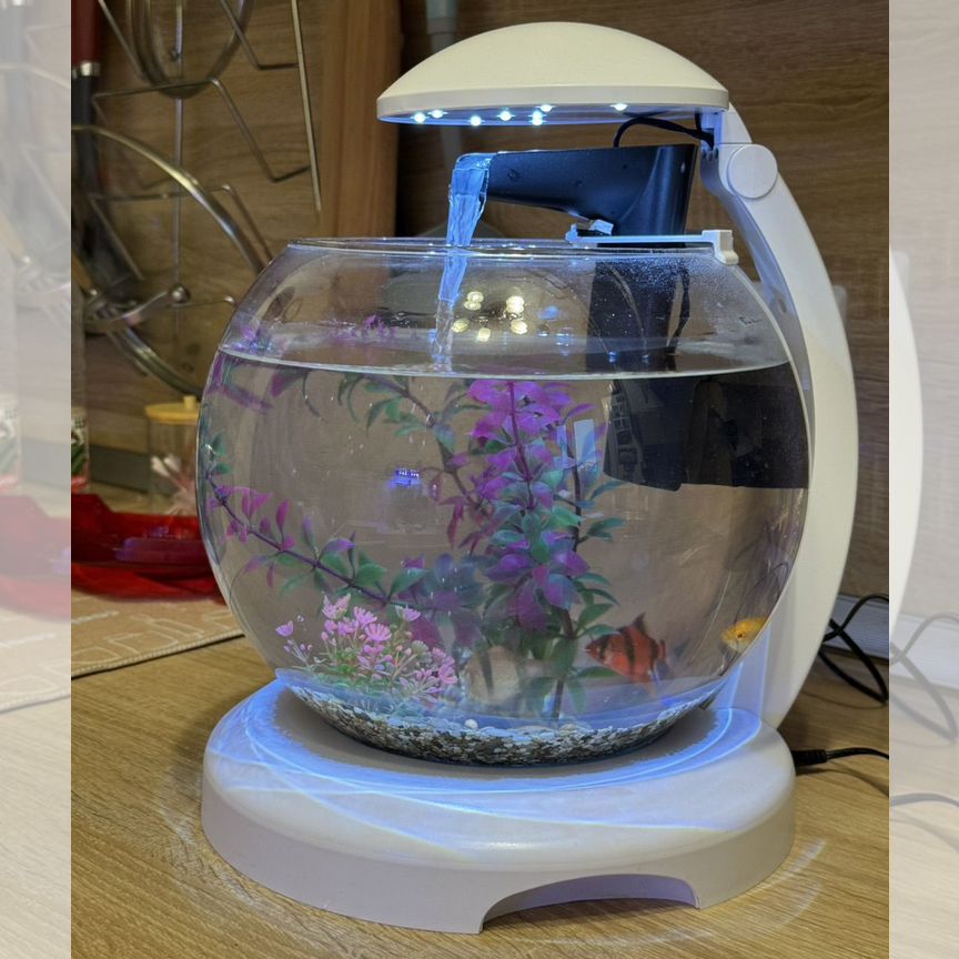 Аквариум круглый с подсветкой