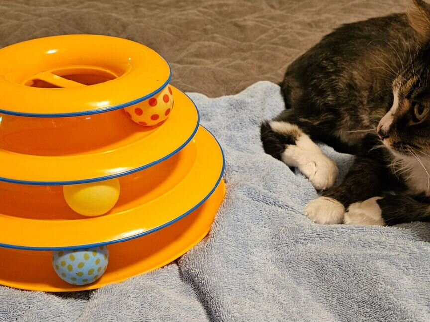 Игрушка для кошек petstages Трек 3 этажа