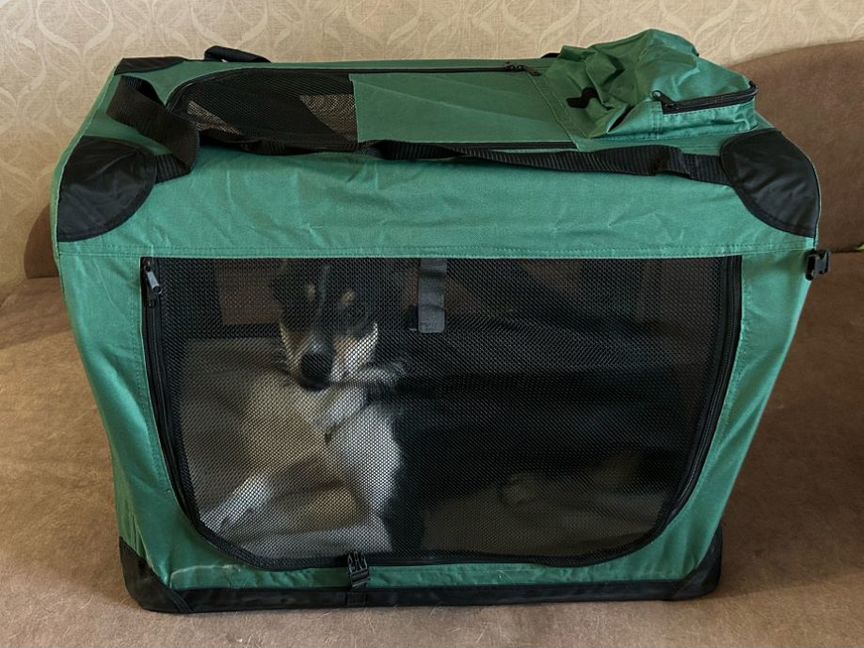 Дом тент для собак