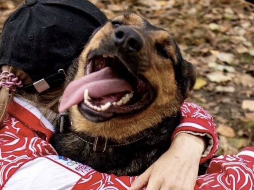 Клевому Ричи нужен дом