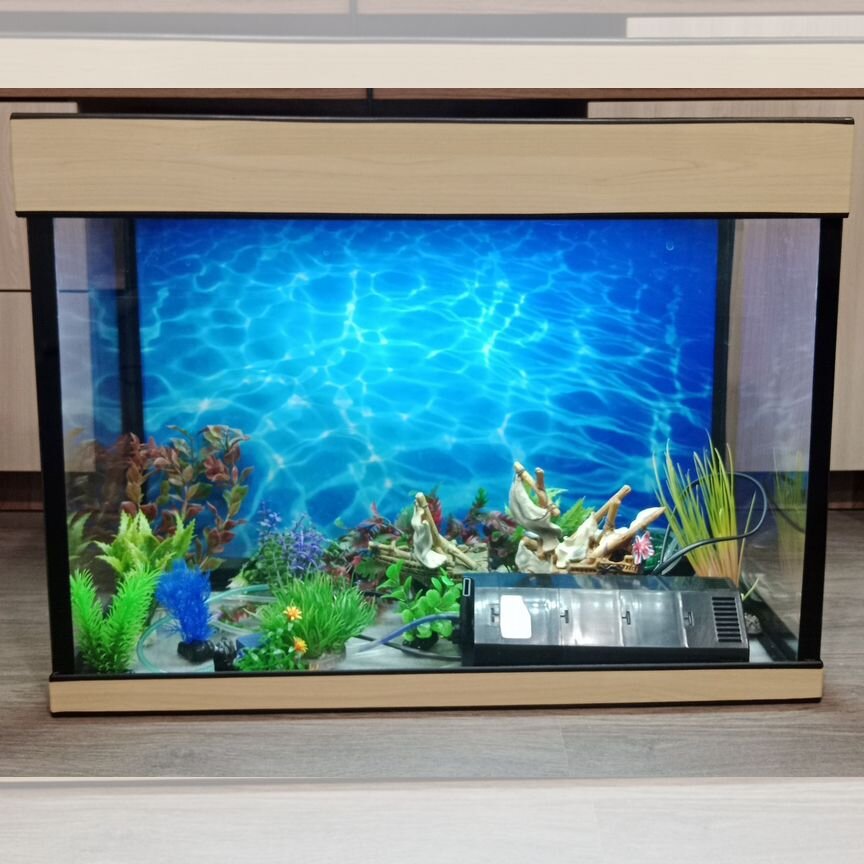 Аквариум на 60 литров