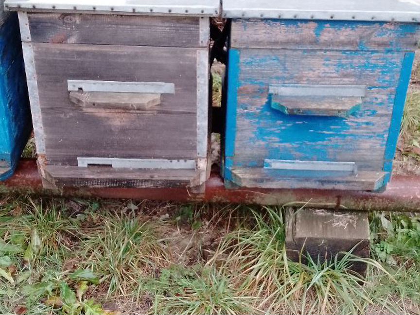 Продам улья