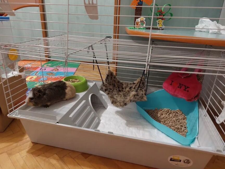Клетка для грызунов морских свинок кроликов ежей