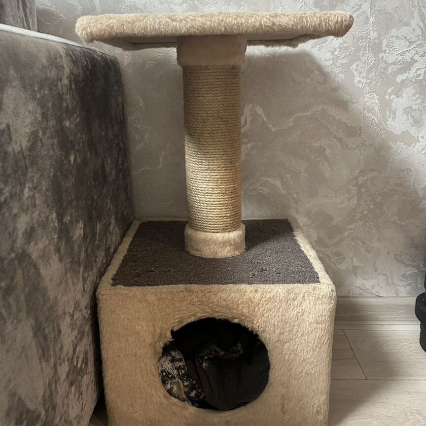 Когтеточка