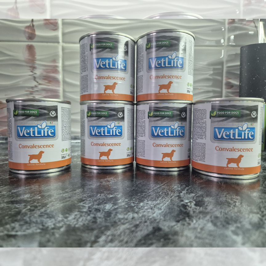 Корм для собак лечебный