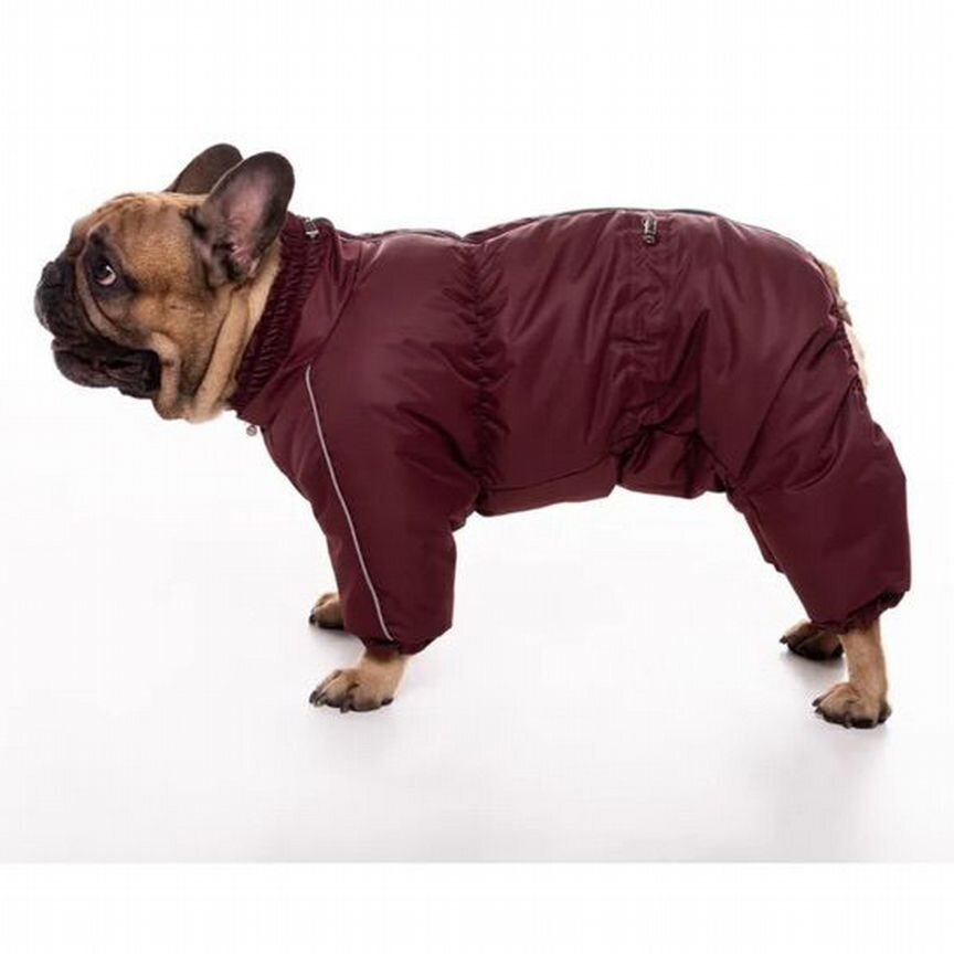 Зимний комбинезон для средней собаки