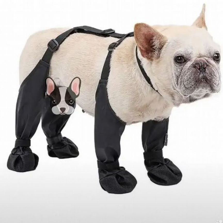 Демисезонные ботинки для собаки