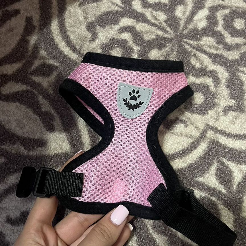 Шлейка для котят