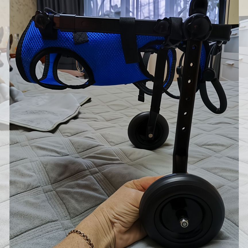 Инвалидная коляска для собак мелких пород