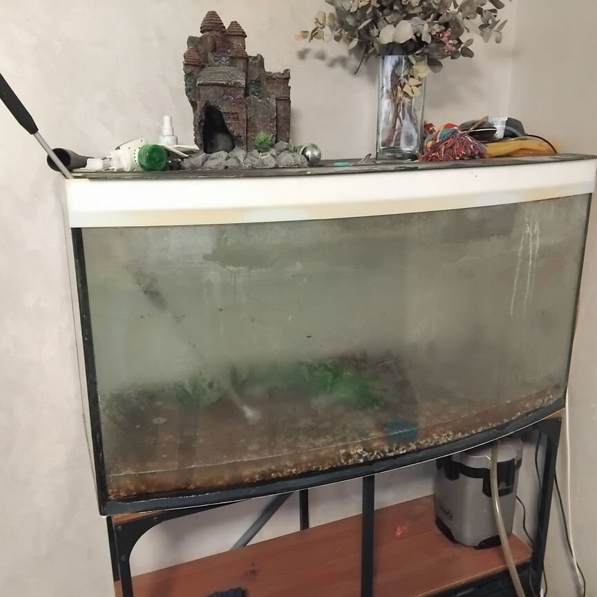 Аквариум с оборудованием