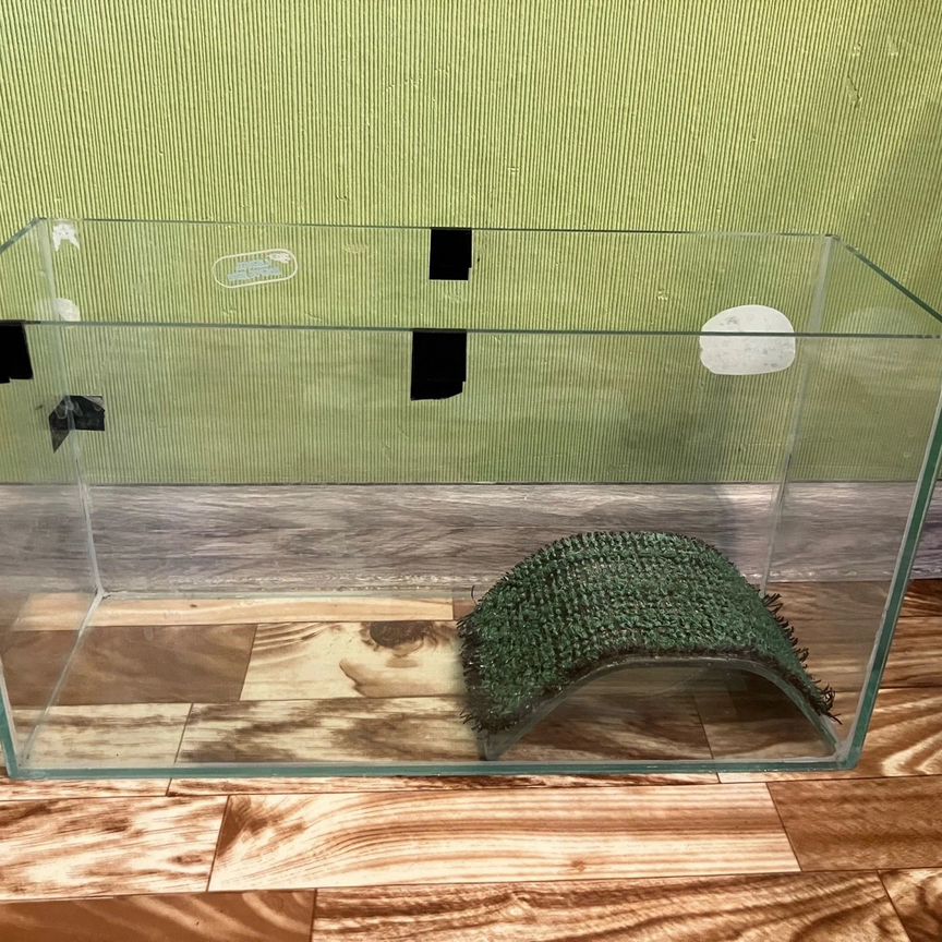 Аквариум для маленьких черепах