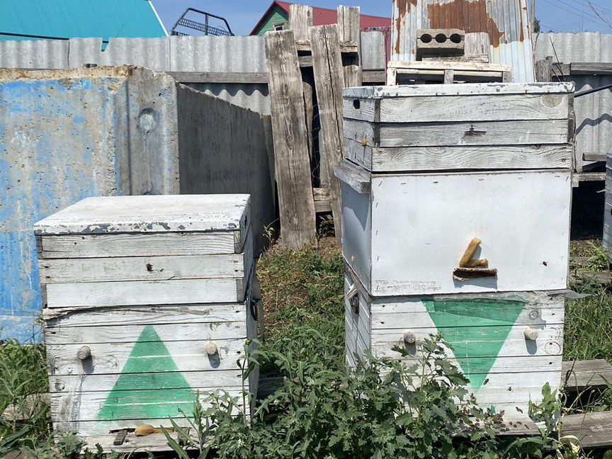 Ульи-дадан 12 и 14 рамочные