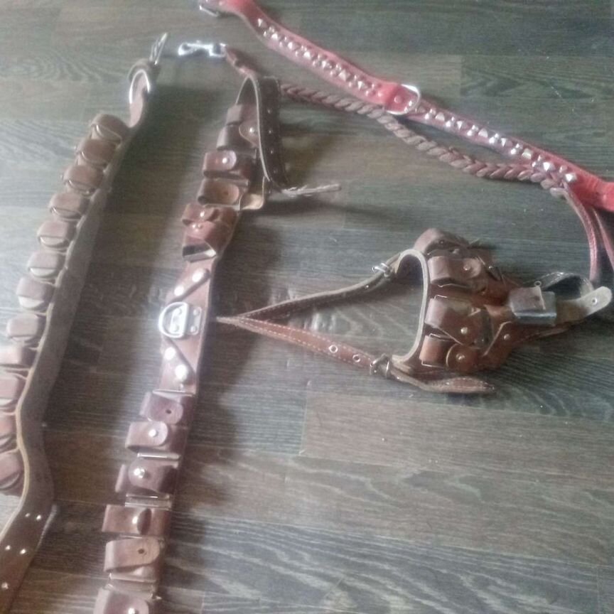 Амуниция для собак крупных пород