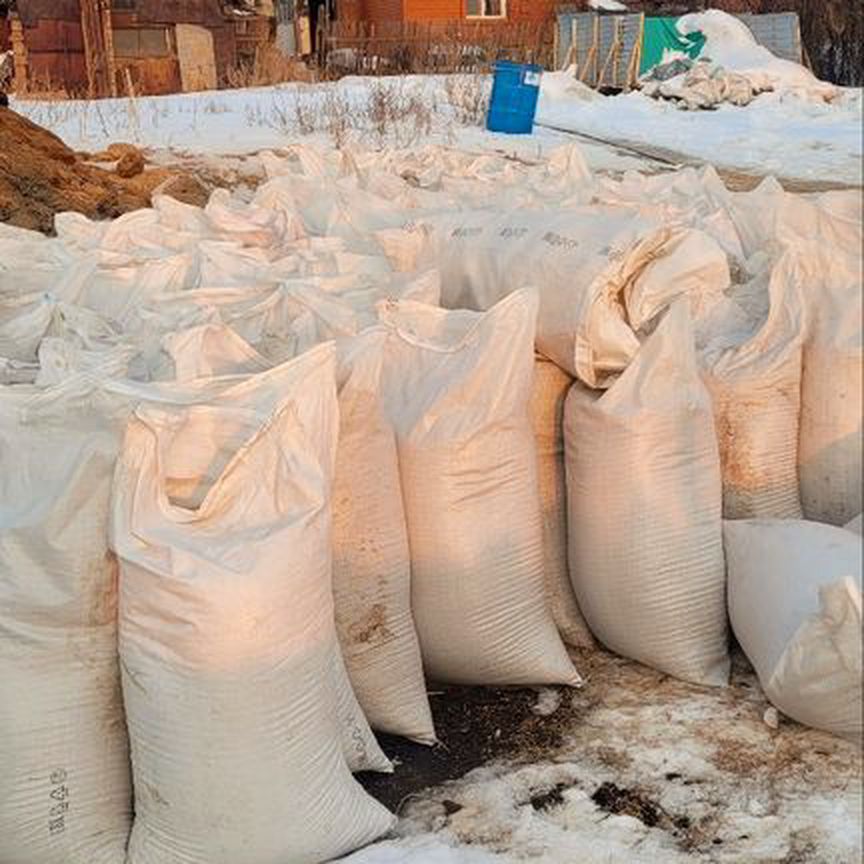 Продам пшеницу зерно