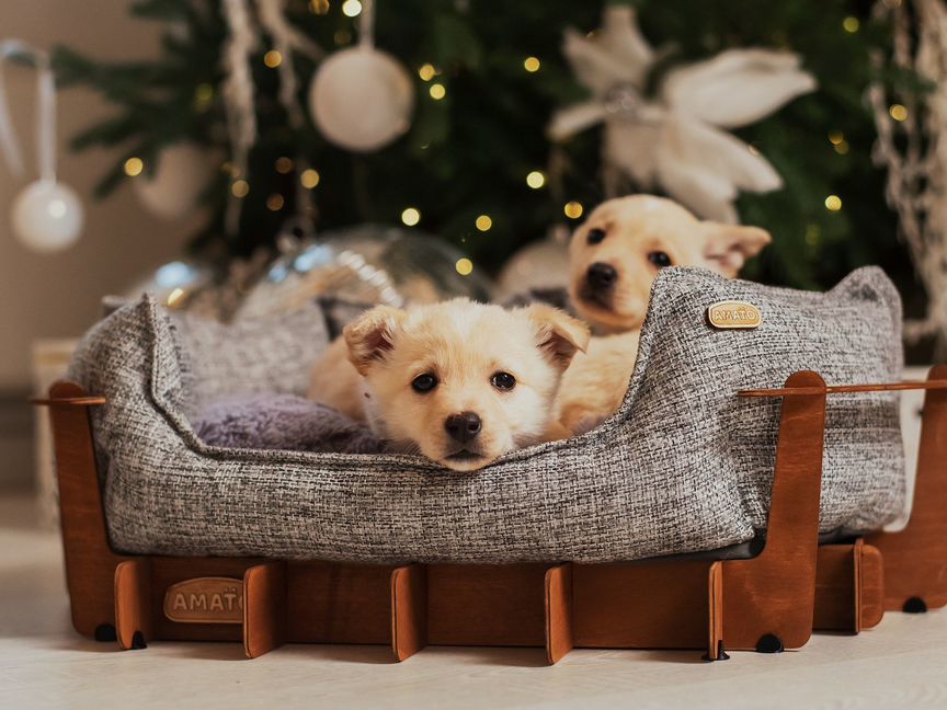 Лежанка для собак и кошек 60х50 см