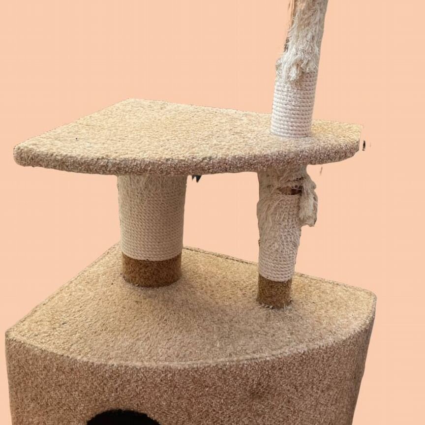 Когтеточка