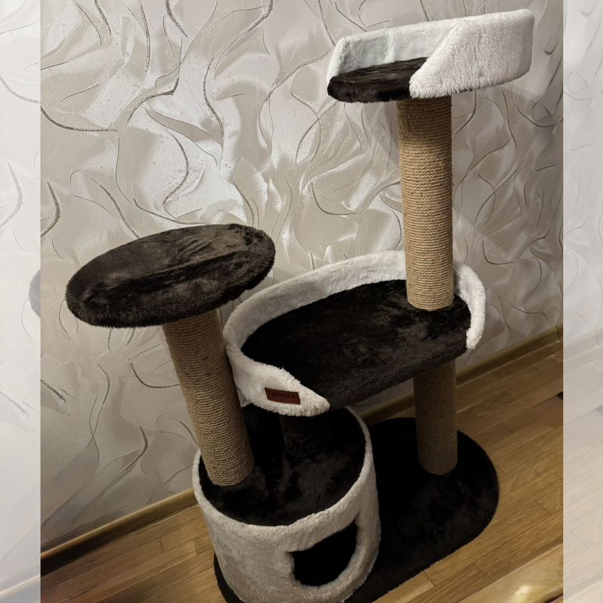 Кошачья когтеточка