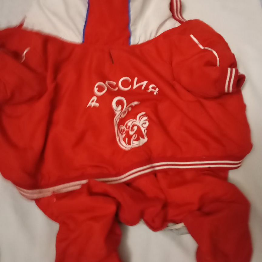 Тёплый костюм для таксы