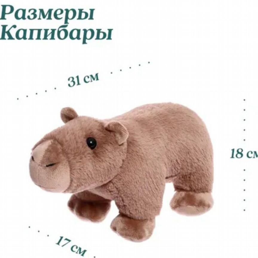 Капибара животное