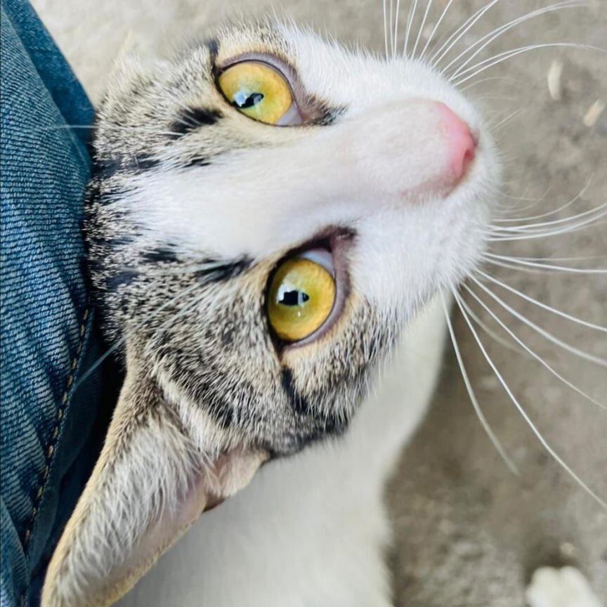 Я ищу своего человека