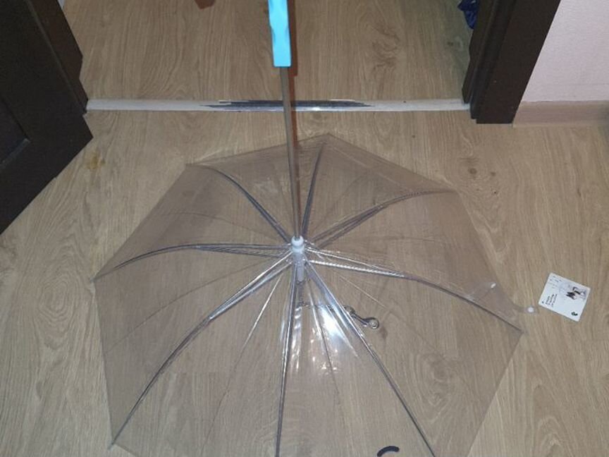 Зонт для собак