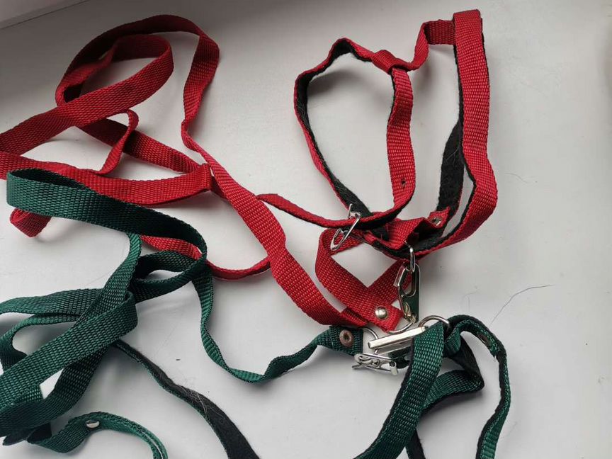 Шлейки, поводки, ошейники