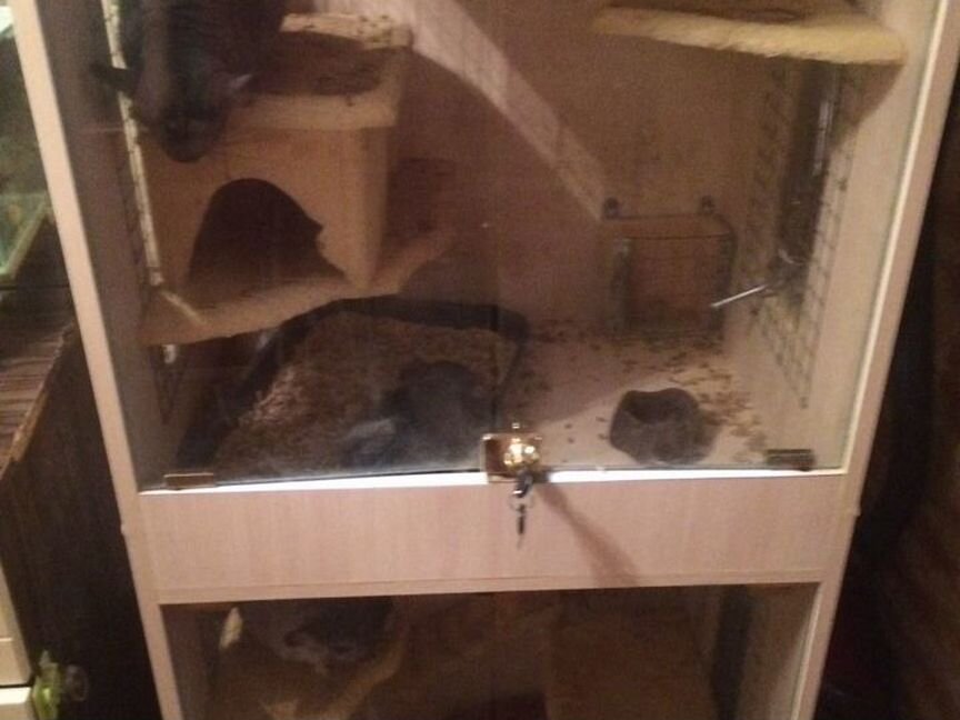 Стеллаж для шиншилл или других животных