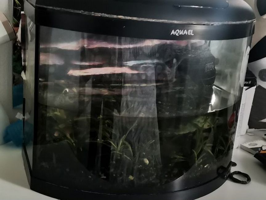 Забронирован Аквариум 30л aquael
