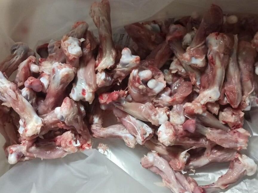Мясо и кости для собак