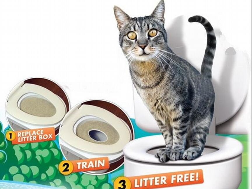 Кошачий туалет