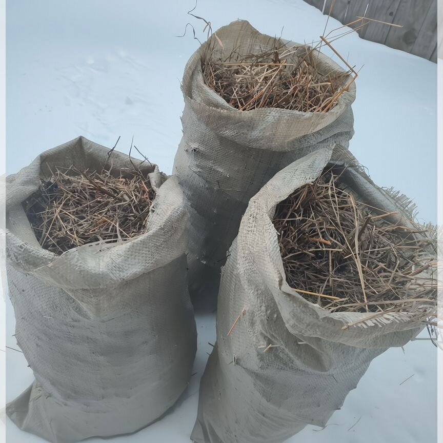 Сено в мешках пермь (3шт)