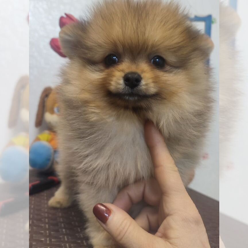 Девочка 2мес