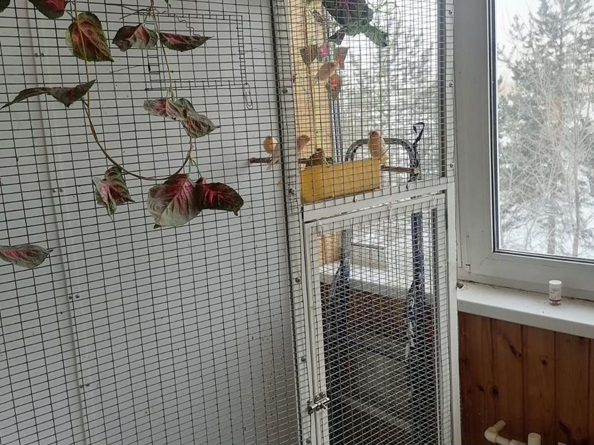 Комнатный разборный вольер