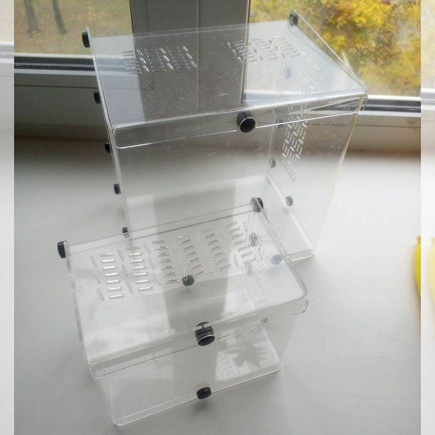 Террариумы для палочников, улиток, богомолов