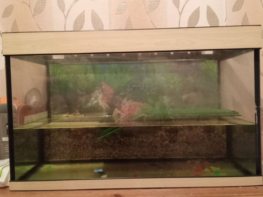 Террариум для красноухой черепахи