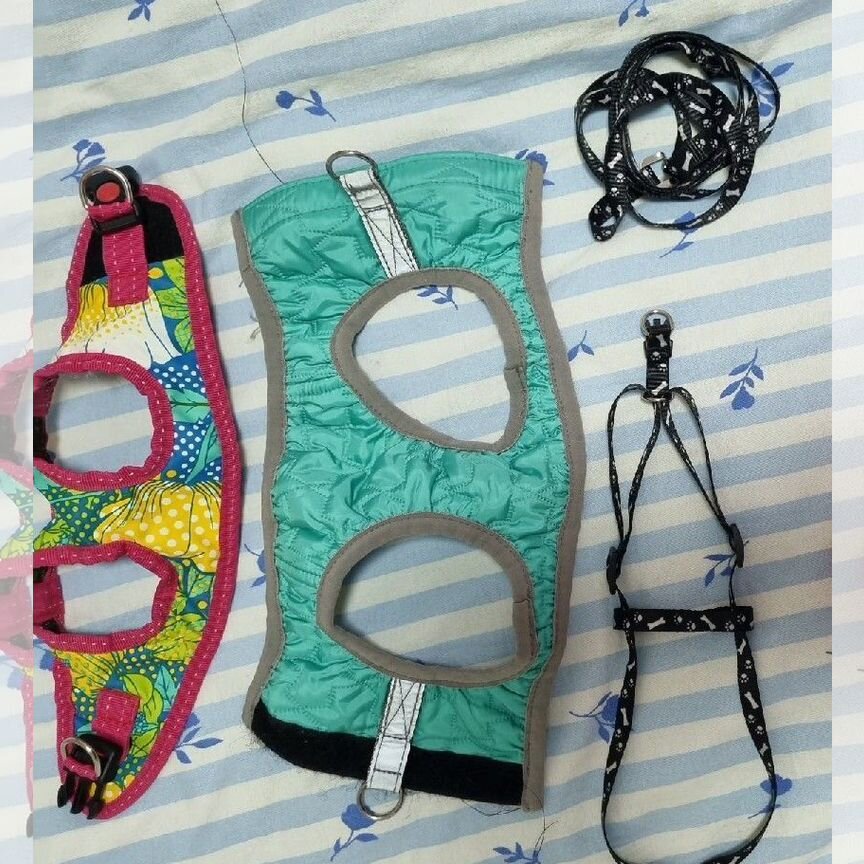 Шлейки и поводки для кошек