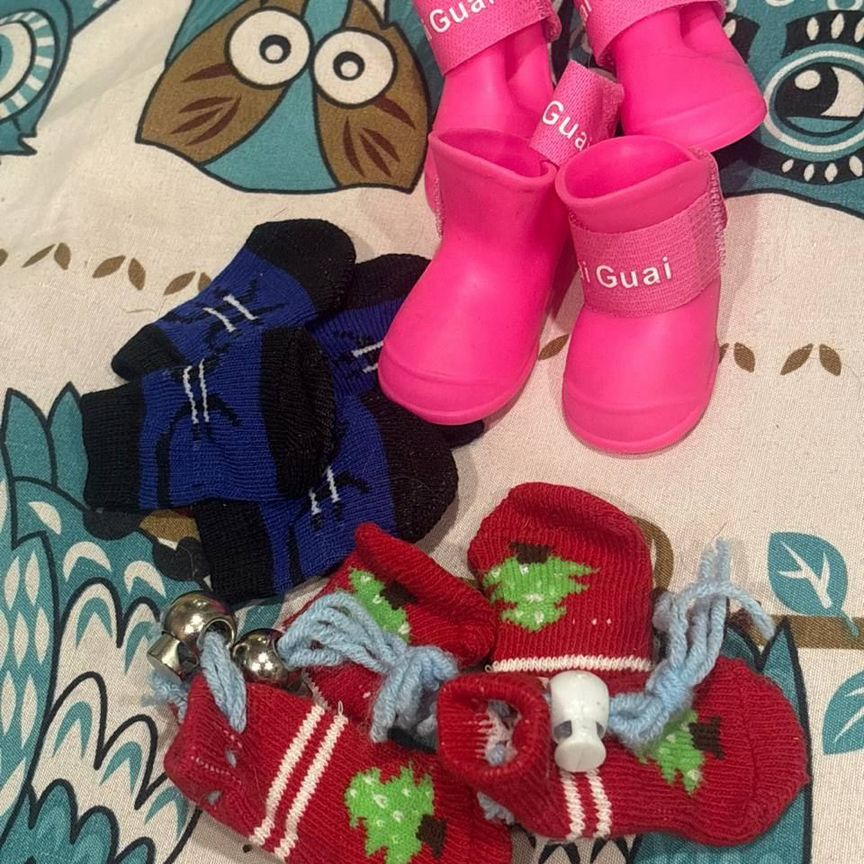 Носки (два комплекта) и ботинки)